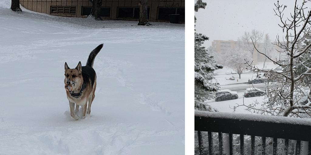 CTM Team Spotlight: Inside Remote Work & Colorado Living with Matt ...